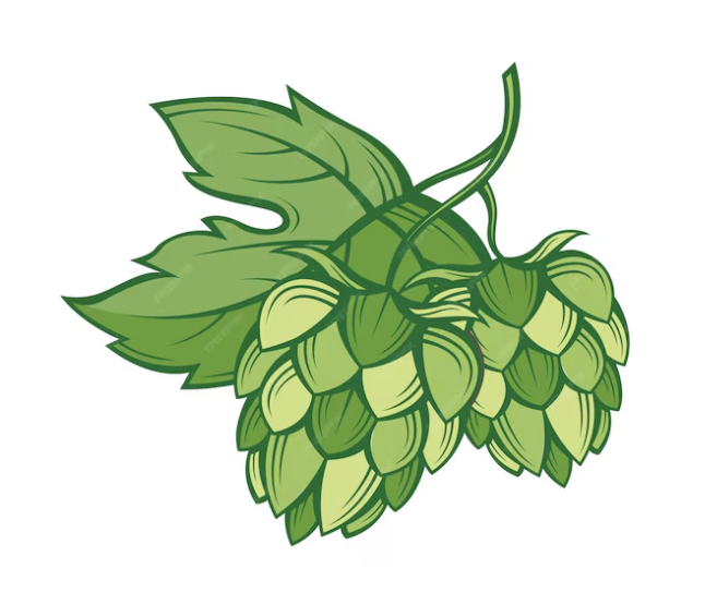 Hops – Homebrew Canada